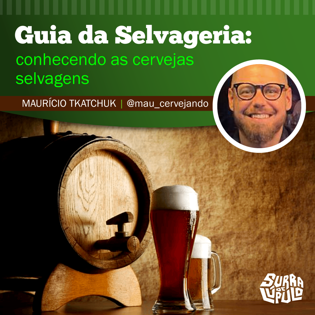 Guia da selvageria: Conhecendo a cerveja selvagem - Surra de Lúpulo